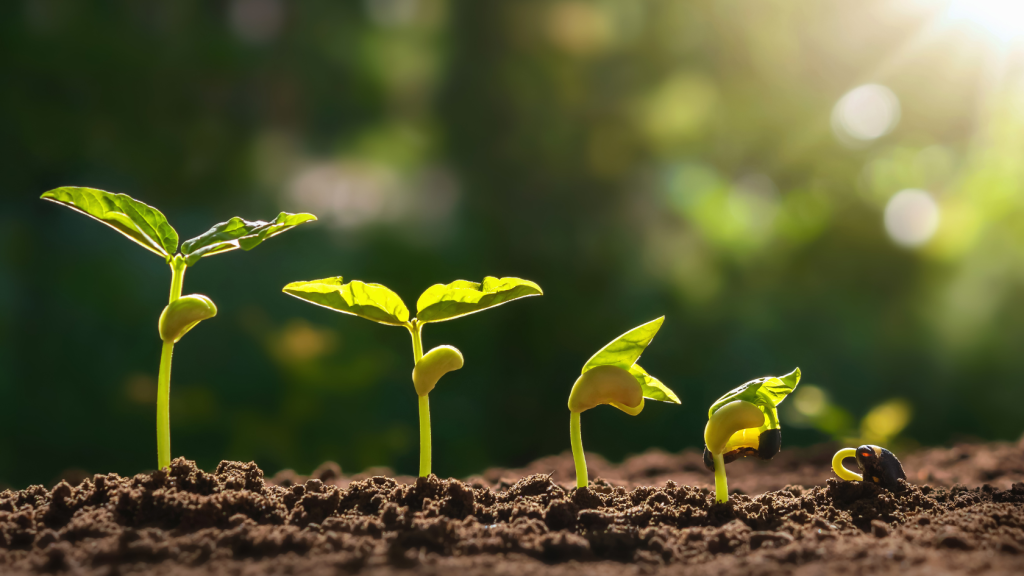 Põhihariduse baasil – RÄPINA AIANDUSKOOL